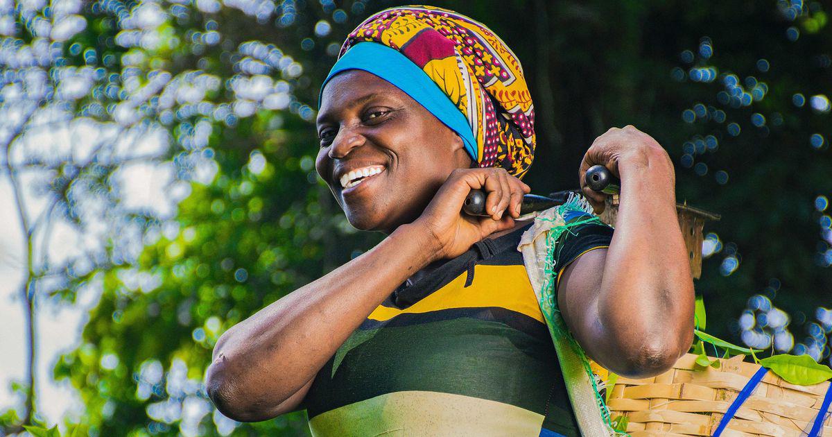 OeEB_ESG_ESG Spotlights - OeEB Impact Report 2022